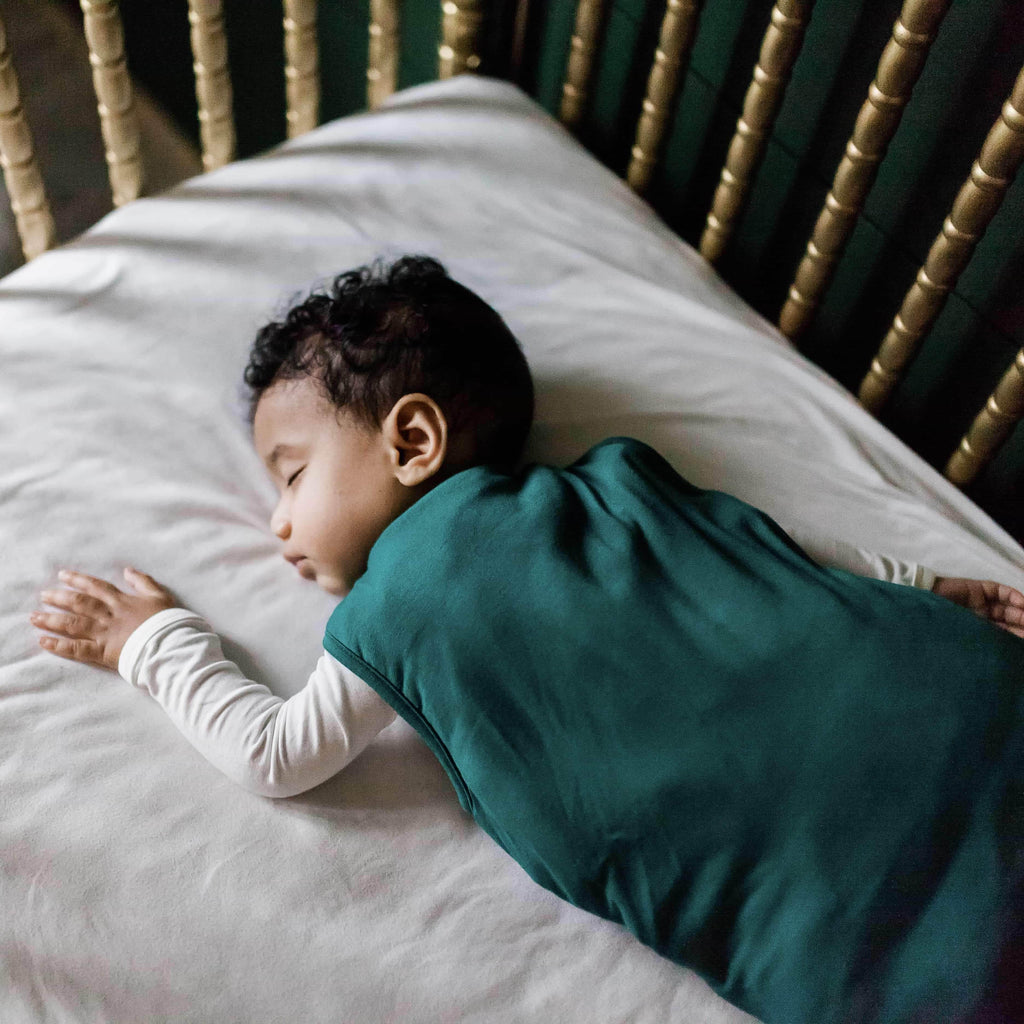 Sudden Unexpected Infant Deaths: SIDS and ASSB | Kyte Baby