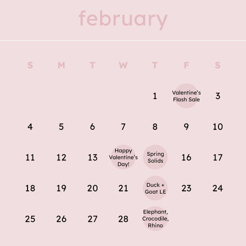 February Launch 2024 Calendar Overview | Kyte Baby