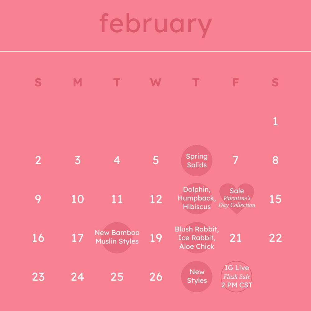 February 2025 Launch Calendar Overview
