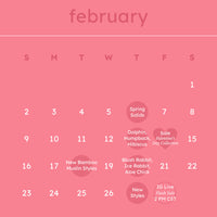 February 2025 Launch Calendar Overview
