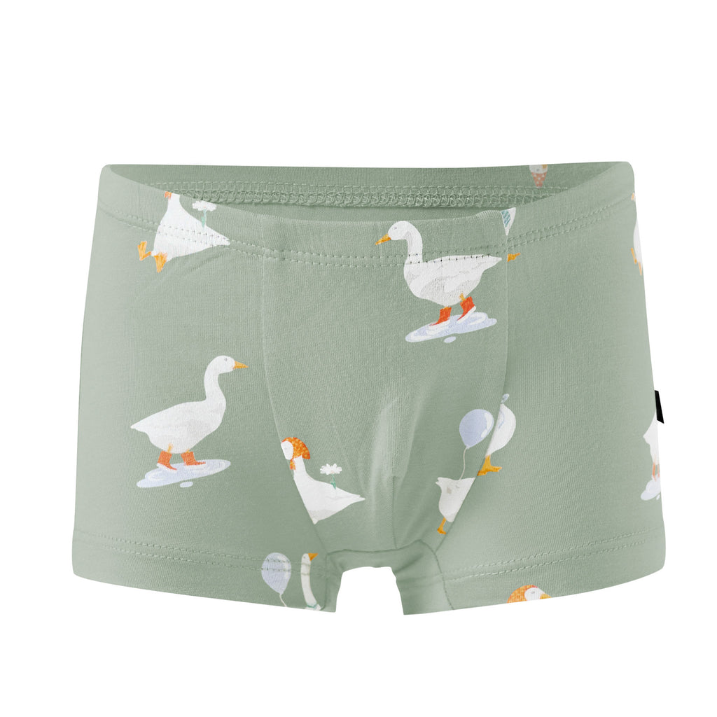 Briefs in Silly Goose