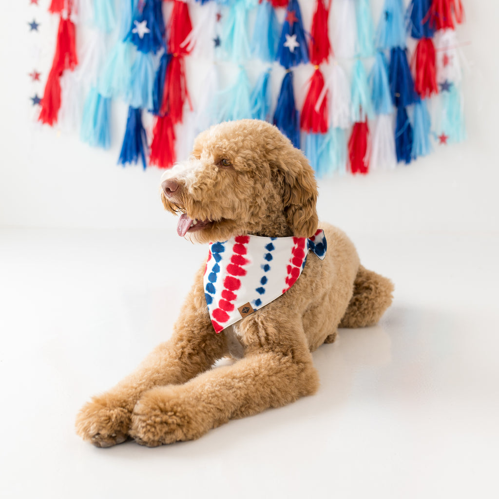 Dog Bandana in Liberty Rip Tide