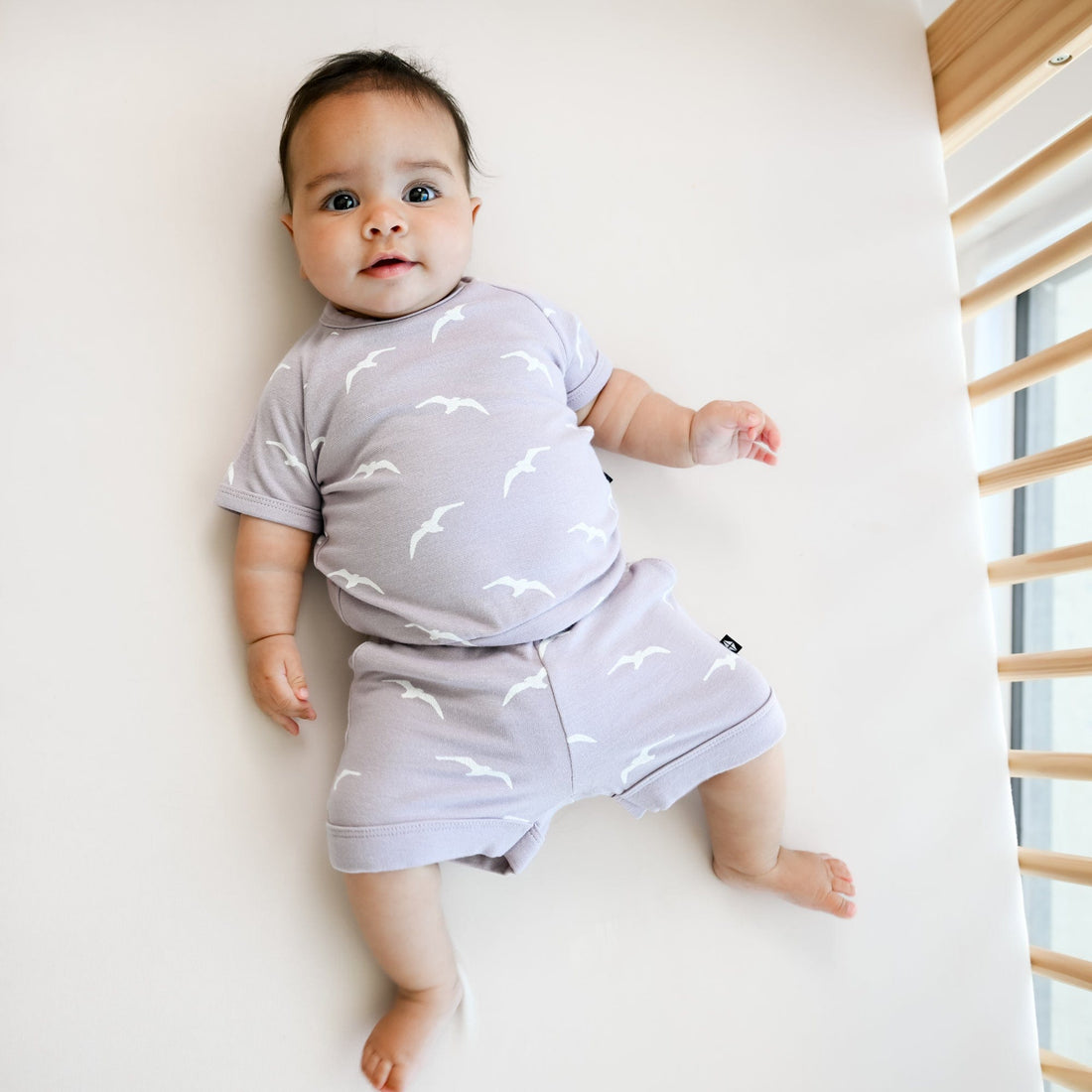 Palm Tree, Shark + Seagull