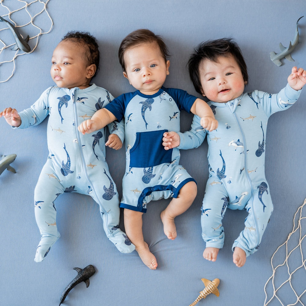 Shortall in Stream Shark